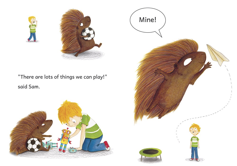 Mine, Mine, Mine said the Porcupine - Shop Maverick Publishing