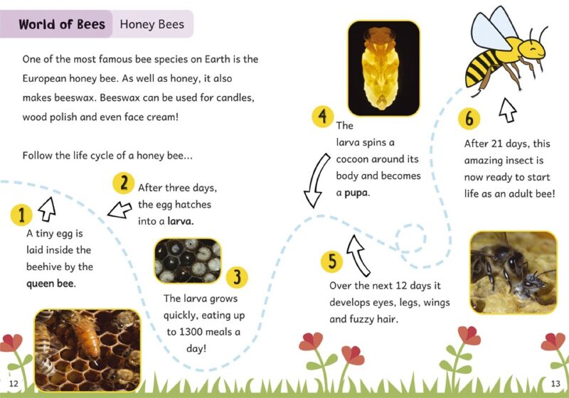 Super Bees - Shop Maverick Publishing